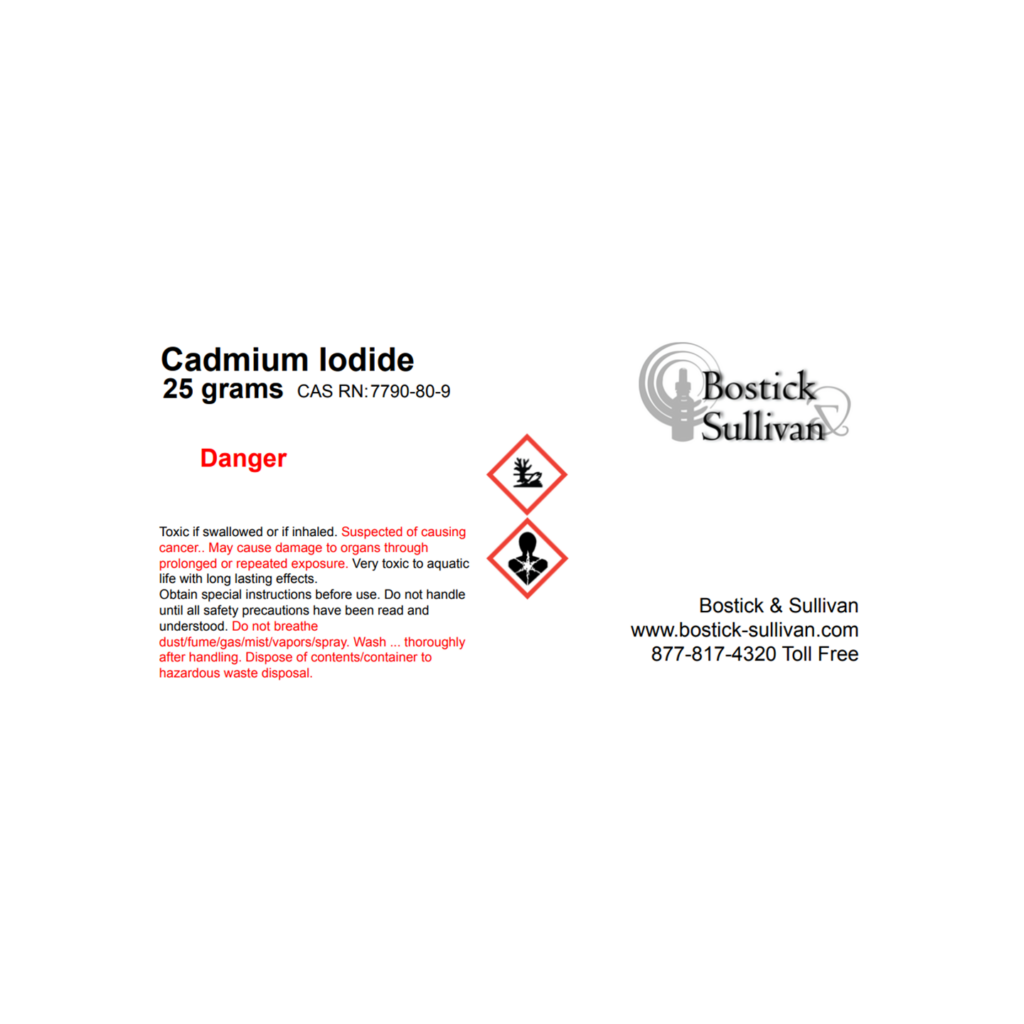 Complete Wet Plate Collodion Kit - Bostick & Sullivan