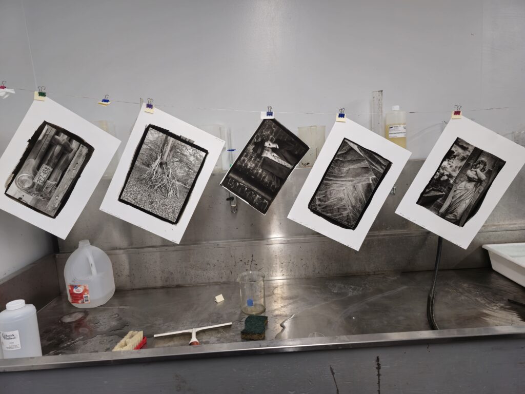 8″x10″ Platinum & Palladium Printing and Digital Negatives January 16 ...